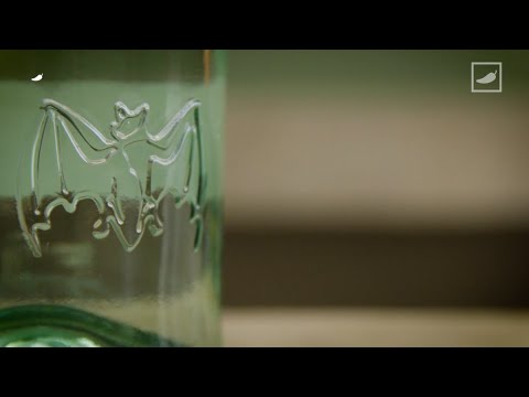 chilango - ¿Con qué apodo conoces al Bacacho? Chécate estas botellas de ...